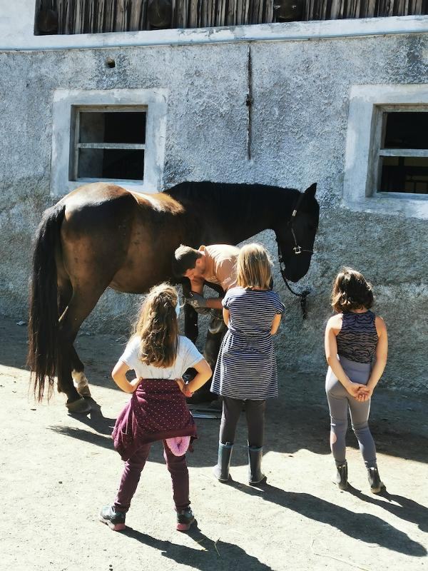 Reiterferien Österreich 2025 - Mit Juvigo in die Reitferien - Juvigo