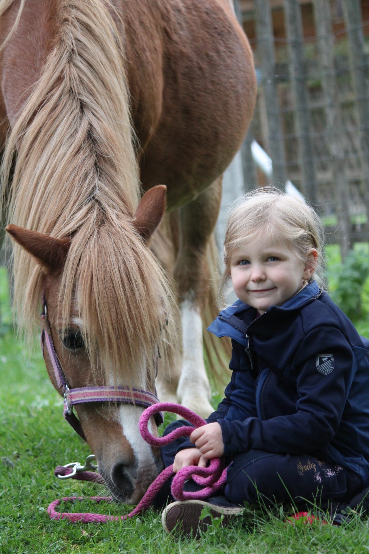 Reiterferien für Kinder und Jugendliche - Juvigo Magazin